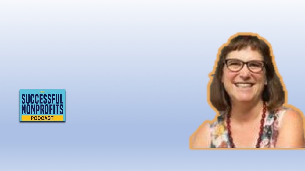 Impact Without Burnout with Beth Kanter : Successful Nonprofits